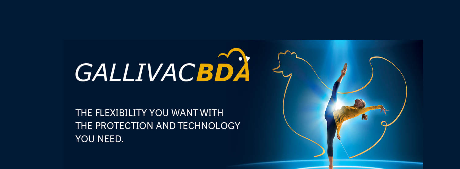 GALLIVAC BDA Landing Page | Poultry Health South Africa